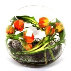 Ejemplo de como decorar una pecera redonda sin peces